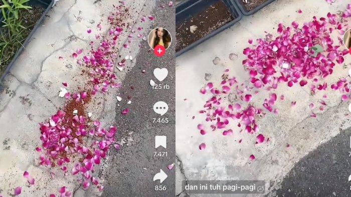 Viral Curhatan Wanita di Pati Rumahnya Diteror, Ada Taburan Bunga dan ...