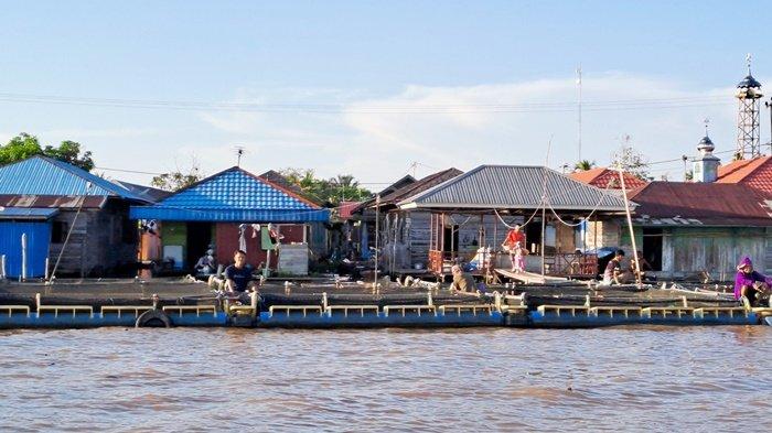 Wisatawan Susur Sungai Barito di Marabahan Kalsel Bisa Melihat Budi ...