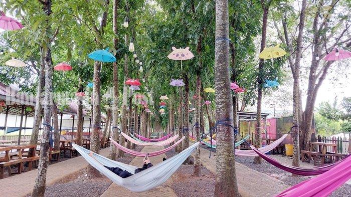 Wisata Kalsel - Santai Berayun di Bawah Pepohon Mahoni di Taman Mahuni ...