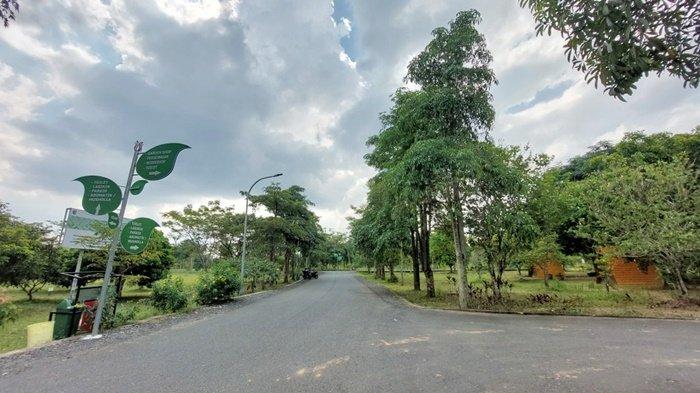 Wisata Kalsel - Kebun Raya Banua, Lokasi Mudah Dijangkau Tidak Jauh ...