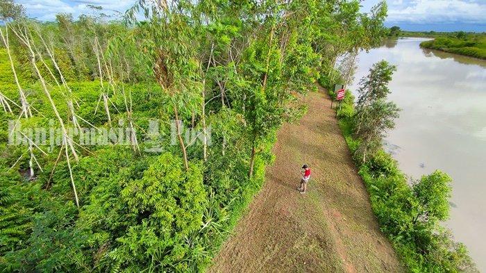 Wisata Kalsel - Lestarikan Flora dan Fauna, Ekowisata Bekantan ...