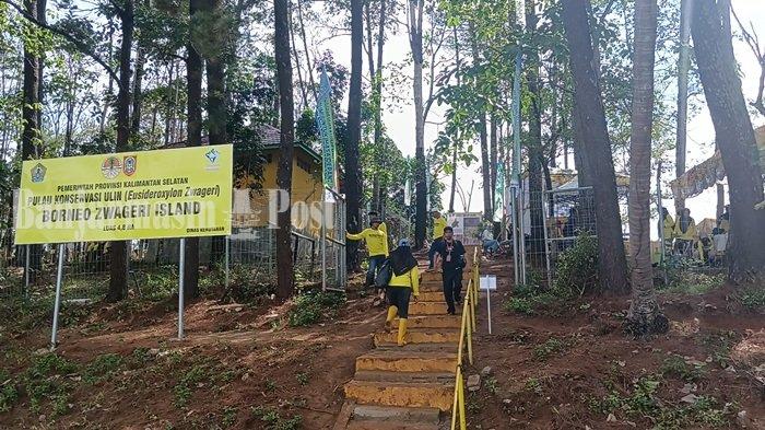 Wisata Kalsel: Dibangun Area Glamping dan Amfiteater di Taman Hutan Raya Mandiangin, Menakjubkan ...