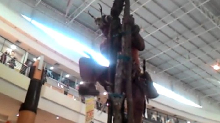 Taklukan Duri Manau Tanpa Luka Sedikitpun, Atraksi Suku Dayak Meratus ...