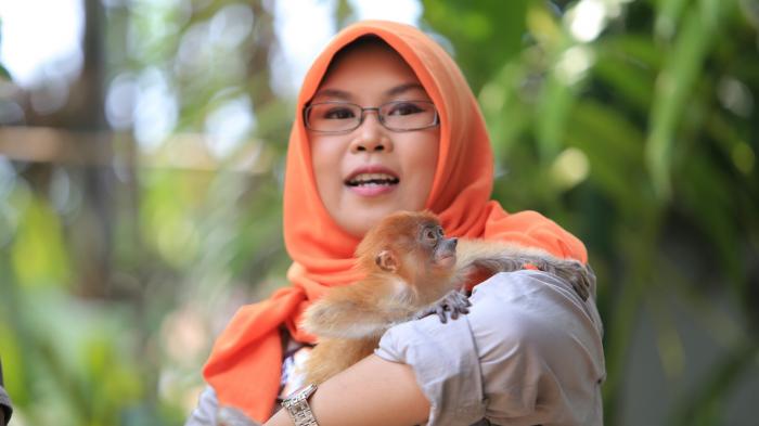 Amalia Rezeki Prihatin Nasib Bekantan - Banjarmasinpost.co.id