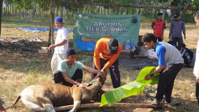 Sejarah Kurban Telah Ada Sejak Nabi Adam AS, Begini Tata Cara Berkurban ...
