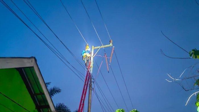 Dahan Pohon Timpa Jaringan Kabel Wilayah PLN ULP Sampit, Listrik ...
