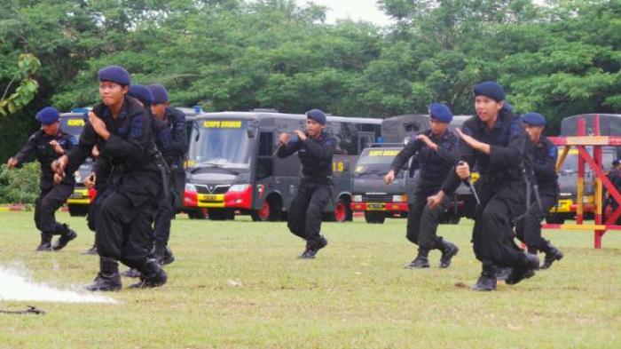 Tek, Kelingking Bripda Dewi Patahkan Besi Dragon - Banjarmasinpost.co.id