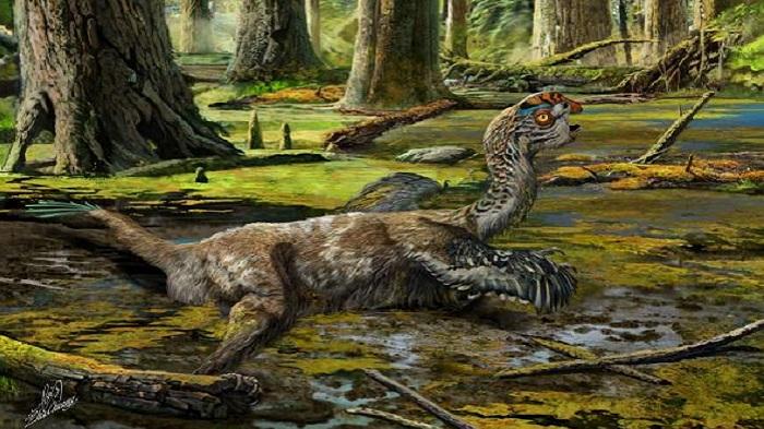 Dinosaur Berbulu dari Zaman Prasejarah Ditemukan Terjebak di Lumpur di ...