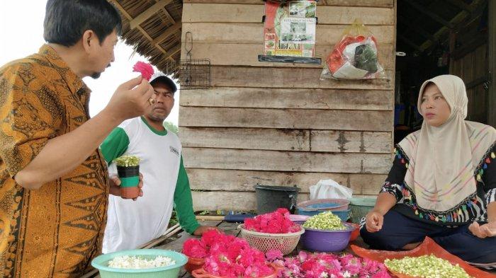 Petani Bunga Lebih Dominan Kembangkan Bunga Melati dengan Alasan ini ...