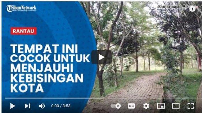VIDEO Melihat Suasana Hutan Kota Rantau, Cocok Untuk Jauhi Kebisingan ...