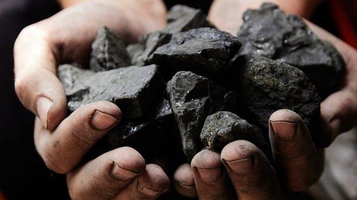Terdampak Covid-19, Jelang Akhir Tahun 2020 Produksi Batubara Turun 6 Juta Ton - Banjarmasinpost ...