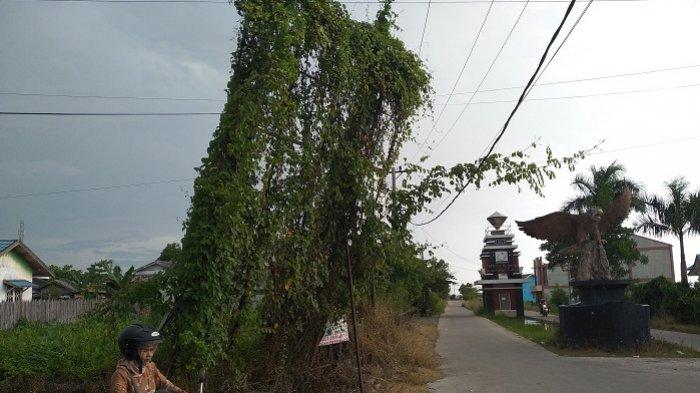 Nyaris Roboh, Rangka Baliho Ini Bikin Warga Pemurus Dalam Banjarmasin ...