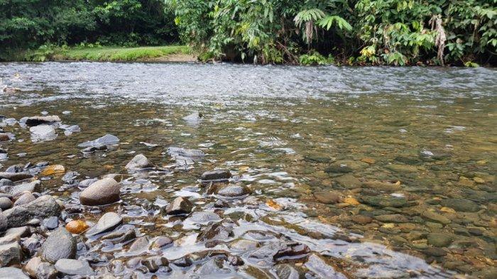 Wisata Kalsel - Jelajah Sungai Alam Riamadungan Tala Dikemas Terpadu ...