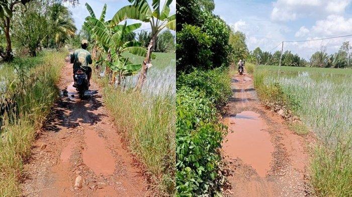 Jalan dan Jembatan di Desanya Tak Kunjung Diperbaiki, Kades Sungai ... Jalan dan Jembatan di Desanya Tak Kunjung Diperbaiki, Kades Sungai ...