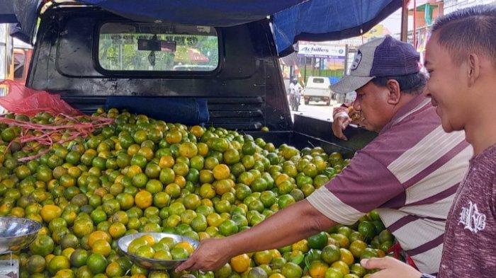 Buah Jeruk Banjiri Pasar Kandangan, Datangkan Jeruk Batola dan Banjar ...