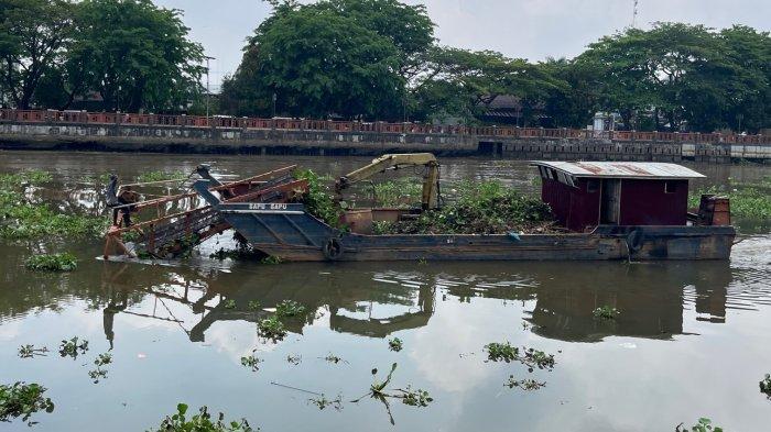 Roda Kelotok Muhidin Sering Terlilit Eceng Gondok yang Penuhi Sungai ...