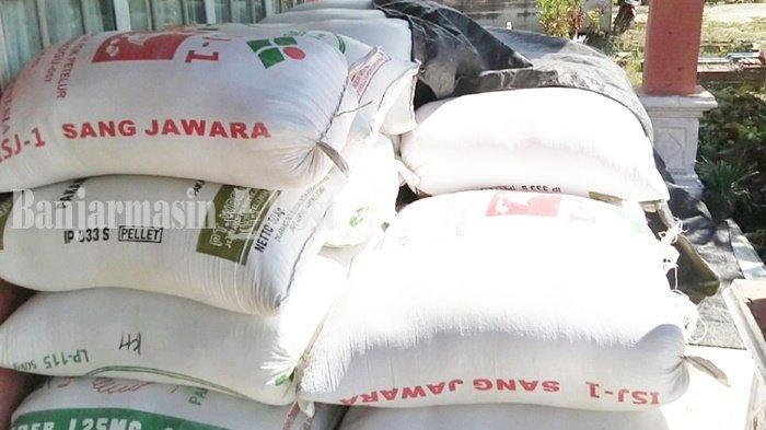 Bulog Mulai Beli Gabah Petani Tapin Tengah dan Binuang, Patok Harga Rp6 ...