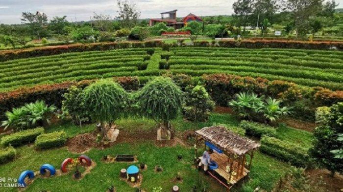 Jadi Spot Wisata, Begini Sejarah dan Pengembangan kini Kebun Raya Banua ...