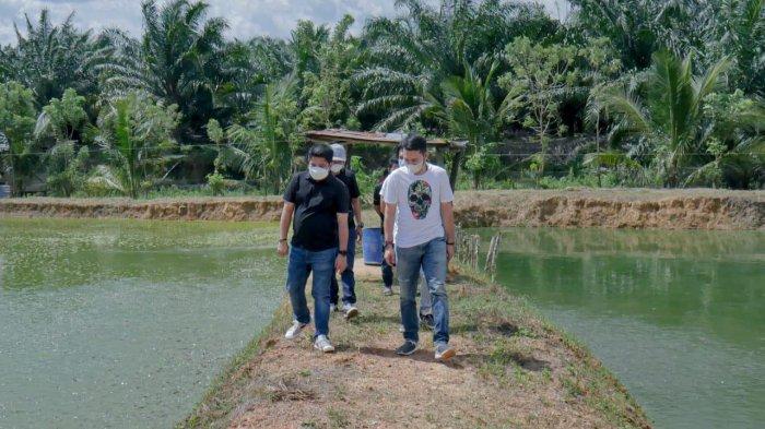 Pembudidaya Ikan Lele Banjarbaru Mengadu ke Wakil Rakyat, Keluhkan ...