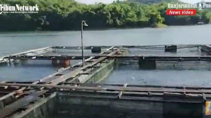 VIDEO Wisata Melihat Budi Daya Ikan dalam Keramba di Riam Kanan Kalsel ...