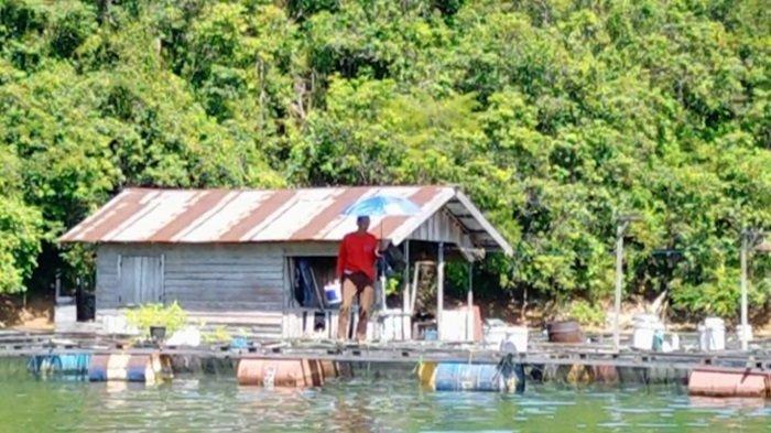 Keramba Ikan di Danau Riam Kanan Desa Tiwingan Aranio Banjar Sumber ...