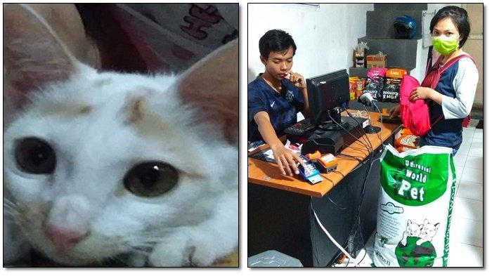 Pelihara Kucing Liar yang Dibuang, Icha Sempat Dikatain 'Wong Gendeng ...