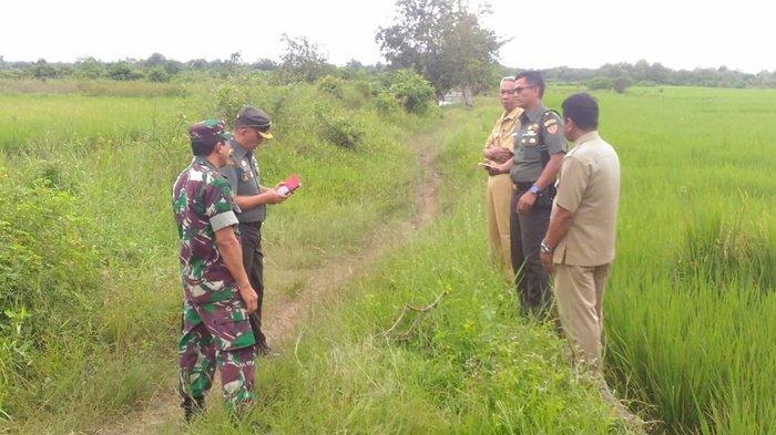 Staf Teritorial TNI Angkatan Darat dan Staf Kementan Tinjau Lahan Pertanian di Tapin, Ini ...