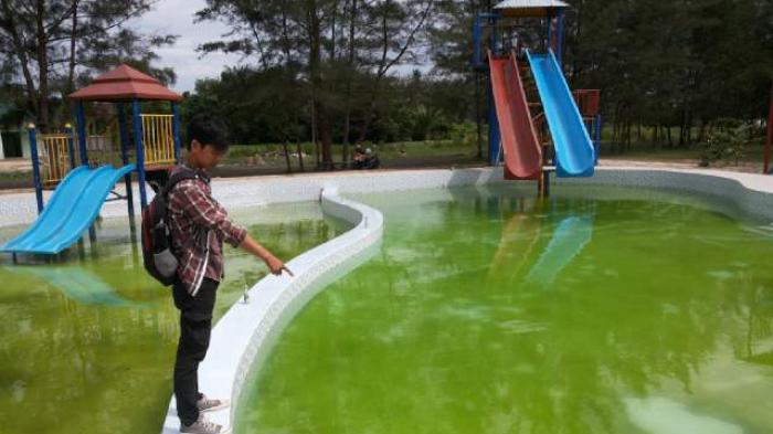 Objek Wisata Kolam Pantai Rindu Alam Tanbu Berlumut dan Airnya Hijau ...