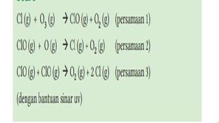 Kunci Jawaban IPA Kelas 10 SMA Halaman 218-220 Halaman 218 219 220 soal Latihan Terpadu ...