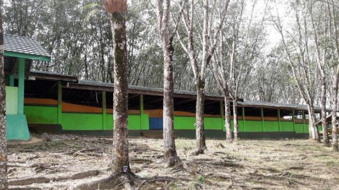 Datu Nuraya Tinggalkan 'Warisan' Kitab Barencong - Banjarmasinpost.co.id