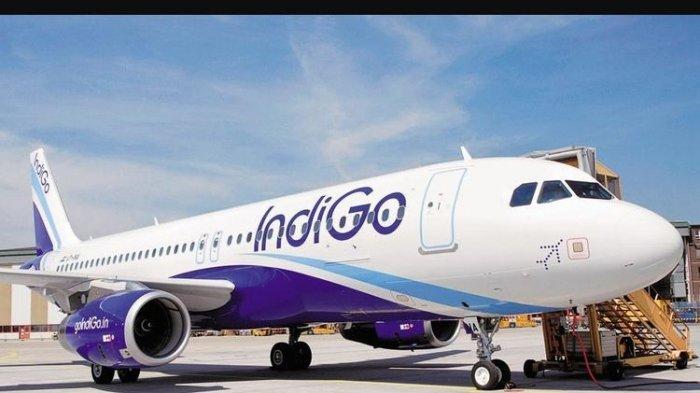 Maskapai Penerbangan Terbesar India IndiGo Bakal PHK 2.400 Pegawai, Mau ...