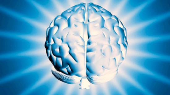 10 Jenis Makanan Mampu Tingkat Kemampuan Otak, dr Zaidul Akbar Berikan ...