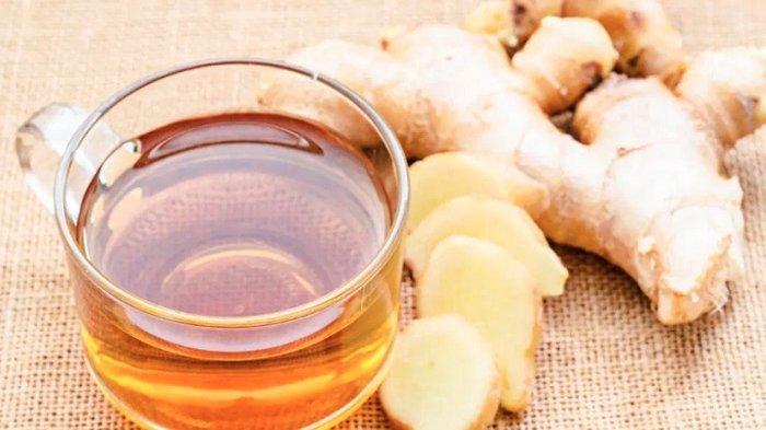 Khasiat Rimpang Diungkap dr Zaidul Akbar, Bikin Tubuh Segar Hanya ...