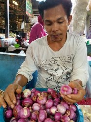 Bawang Merah India Kembali Banyak Beredar di Kota Banjarmasin ...