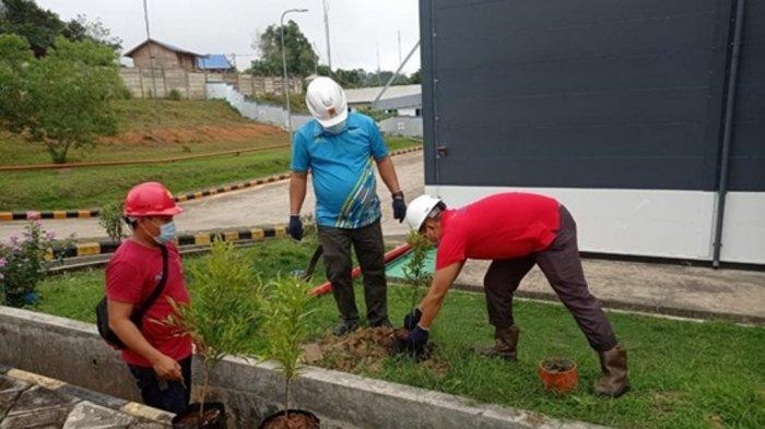 PT PLN (Persero) UPDK Palangkaraya Lakukan Penghijauan Peringati Hari Lingkungan Hidup Sedunia ...