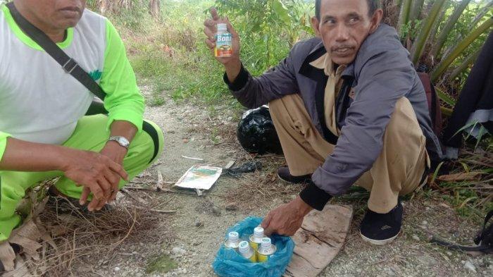 Akui Daerah Endemis Tungro, Kadis Pertanian Batola Berikan Tips Praktis ...
