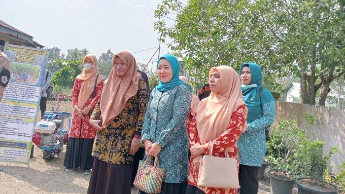 Desa Danda Jaya di Kabupaten Barito Kuala Upayakan Raih Penghargaan ...