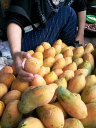 Pepaya Super Mini Tebar Pesona - Banjarmasinpost.co.id