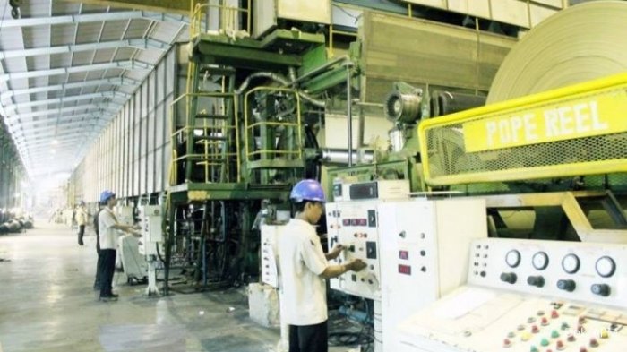 Hakim Ketuk Palu: Asia Paper Mills Pailit! - Banjarmasinpost.co.id