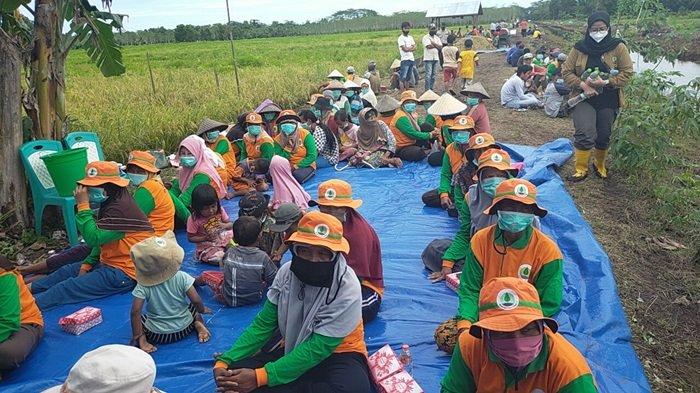 Food Estate Kalteng, Menteri Pertanian Tertarik Kembangkan Peternakan ...