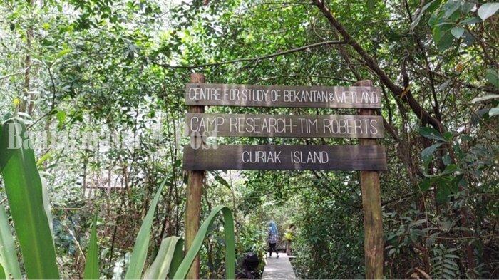 Wisata Kalsel : Eksotika Pulau Curiak, Indahnya Pesona Flora dan Fauna Banua di Batola Kalsel ...