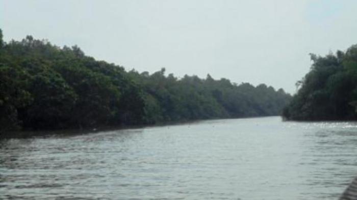 Pulau Telo Kapuas, Potensi Wisata yang Tak Tersentuh - Banjarmasinpost ...