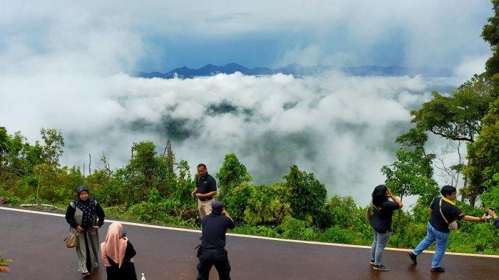 Tahura Sultan Adam Kabupaten Banjar Kalsel, Rasakan Sensasi Berada di ...