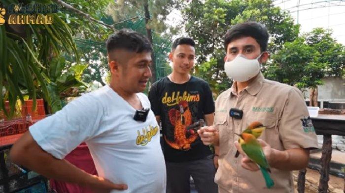 Penampakan Kandang Burung Raksasa di Rumah Irfan Hakim, Bikin Alshad ...