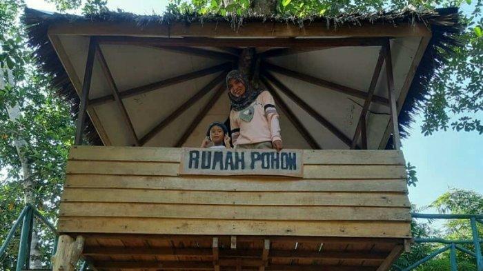 Rumah Pohon Cempaka Banjarbaru, Tempat Outbound yang Unik - Banjarmasinpost.co.id