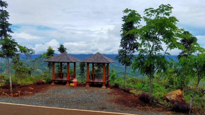 Wisata Tahura Sultan Adam Banjar Kalsel, ini Fungsi dan Manfaat Taman ...