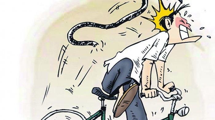 Si Palui : Sapida Zaman Japang - Banjarmasinpost.co.id