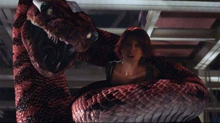 Sinopsis Film Boa vs Python dan Link Streaming Bioskop Trans TV Tayang ...