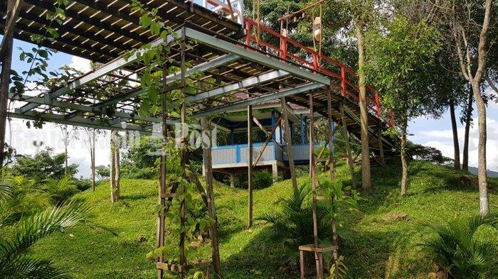 Wisata Kalsel, Taman Permana Pelaihari Langganan Jadi Tempat Prawedding ...