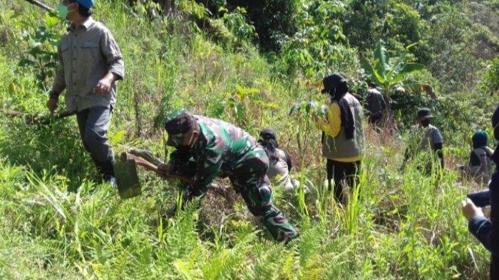 Anggota TNI, Polri, Dishut, Mahasiswa Tanam Pohon di Pegunungan Meratus ...